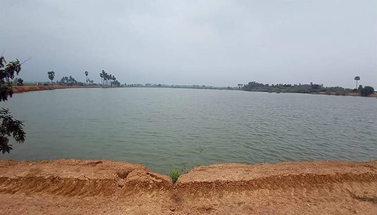 Srinivasan Services Trust to accelerate water conservation drive in ...